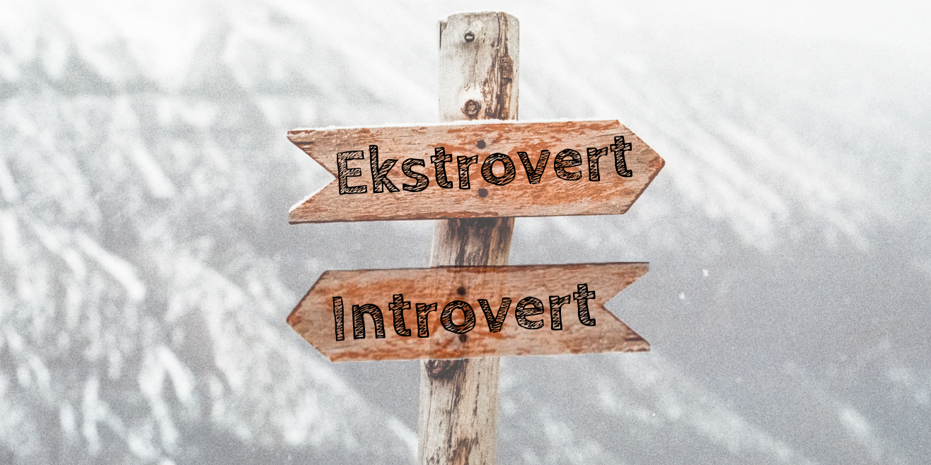 Lynkursus i Jungs typologi: Introvert og ekstrovert - PeopleTools